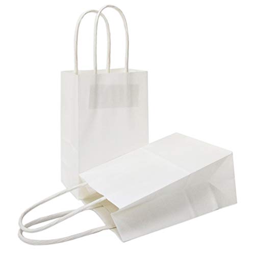 AZOWA Gift Bags Mini Kraft Paper Bags With Handles(White, 25 Pcs)