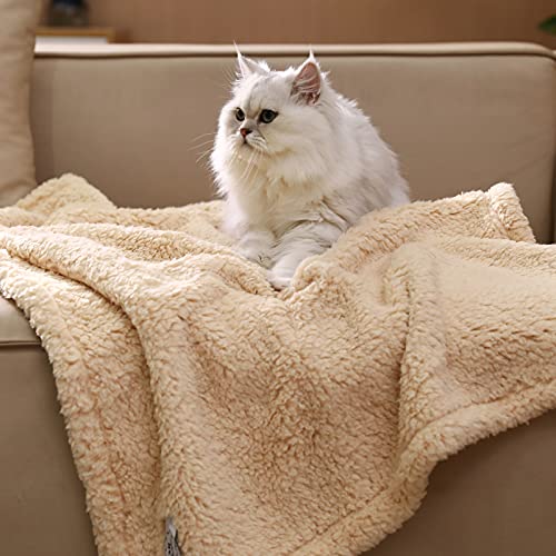 1 Pack 3 Calming Blankets Fluffy Premium Fleece Pet Blanket Soft Sherpa Throw for Dog Puppy Cat Beige Small (23x16'')