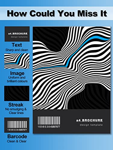 KINGWAY 564XL Ink Cartridges for HP Printers, Replacement for HP 564 XL 564 Work with HP Photosmart 5520 6520 7520 Deskjet 3520,12 Combo Pack((4 Black, 2PBK & 2 C/M/Y)