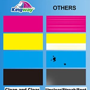 KINGWAY 564XL Ink Cartridges for HP Printers, Replacement for HP 564 XL 564 Work with HP Photosmart 5520 6520 7520 Deskjet 3520,12 Combo Pack((4 Black, 2PBK & 2 C/M/Y)