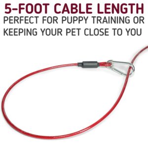 Leashboss 5 Foot Dog and Puppy Training Tie Out Cable (5 Foot Tether, Classic Red)