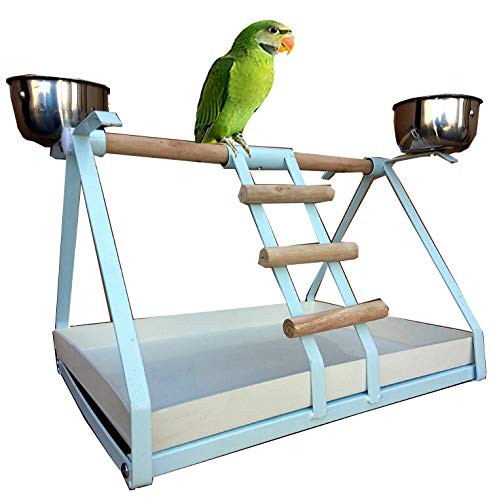 New Metal PLAYSTAND Play Gym with Stainless Steel Cups, Wood Perches and Tray for Small Parrot