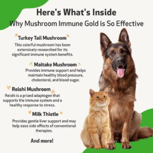 Pet Wellbeing - Mushroom Immune Gold - Natural Alternative Immune Support for Dogs and Cats - 8oz (237ml).