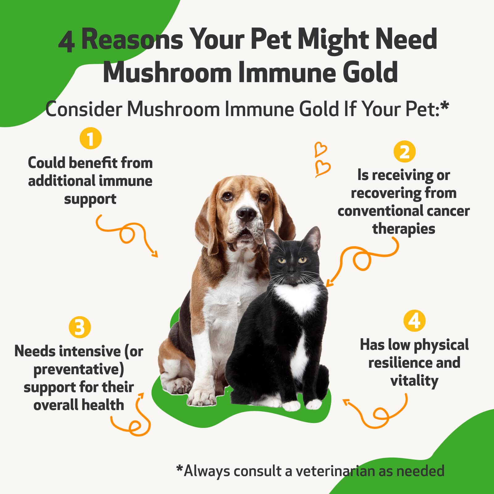 Pet Wellbeing - Mushroom Immune Gold - Natural Alternative Immune Support for Dogs and Cats - 8oz (237ml).