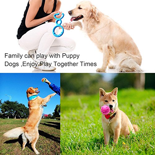 SZKOKUHO 17 Packs Durable Pet Puppy Dog Chew Toys Set Puppy Teething Ball Toys Puppy Rope Dog Tug Toy Safety Design for Small Dogs