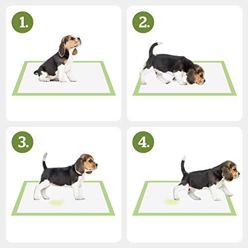 Pogi's Dog Training Pads with Adhesive Sticky Tabs (50-Count) (24x24in) - Large Puppy Pads, Earth-Friendly Dog Pads, Plant-Based Puppy Pee Pads for Dogs - Puppy Supplies for Small to Large Sized Dogs