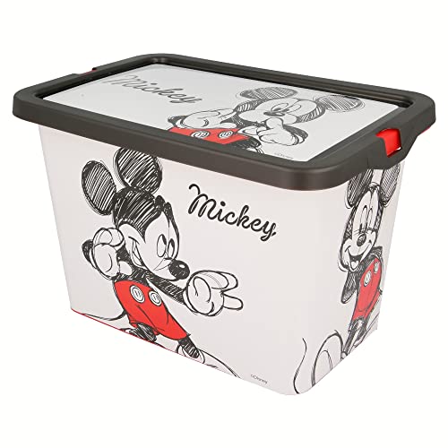 Stor ST-02644 02644 Click Storage Box, Cartoon, Multicoloured, Mediano