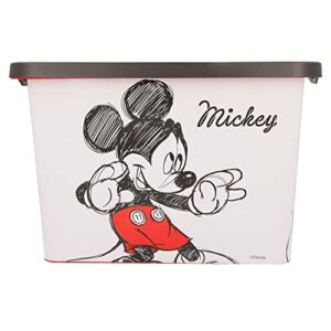 Stor ST-02644 02644 Click Storage Box, Cartoon, Multicoloured, Mediano