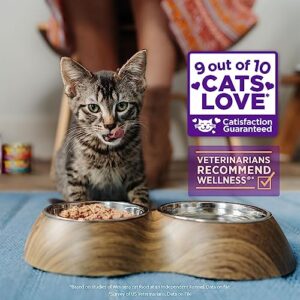 Wellness Core 95% Natural Grain Free Wet Canned Cat Food, Turkey, 5.5-Ounce Can (Pack Of 12)