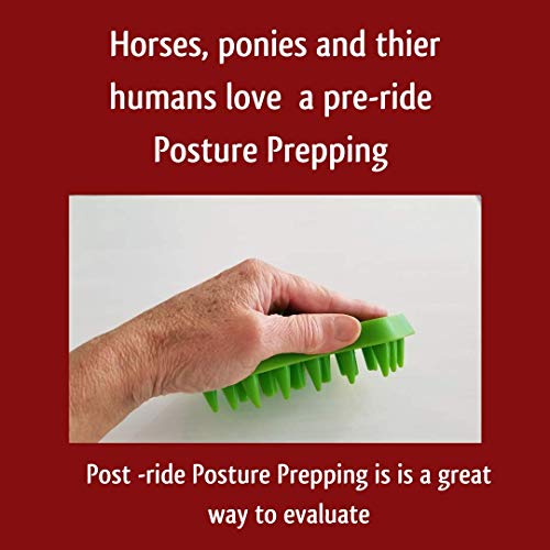 Posture Prep Cross Fiber Groomer Horse Pony Curry Comb