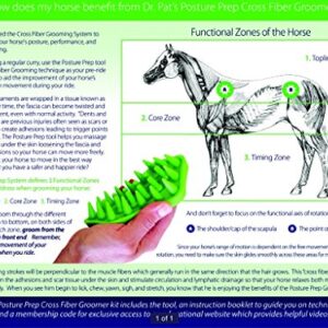 Posture Prep Cross Fiber Groomer Horse Pony Curry Comb