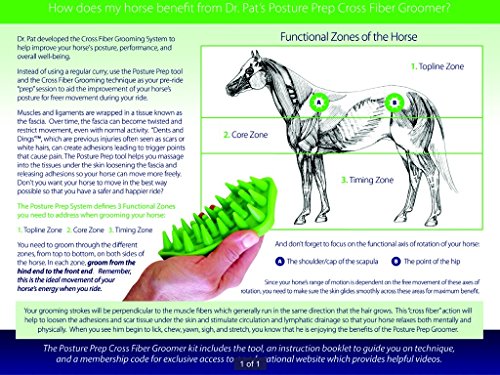 Posture Prep Cross Fiber Groomer Horse Pony Curry Comb