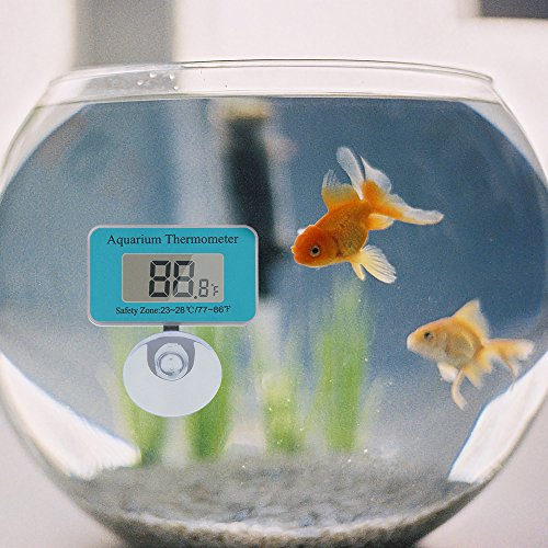 DaToo Aquarium Thermometer with Sucker, Second Generation (Update), 1 Yr Warranty