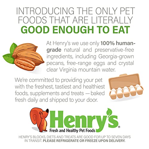 Henry's Peanut Stix - The Only Hamster and Squirrel Treat Baked Fresh to Order, 4 Ounces