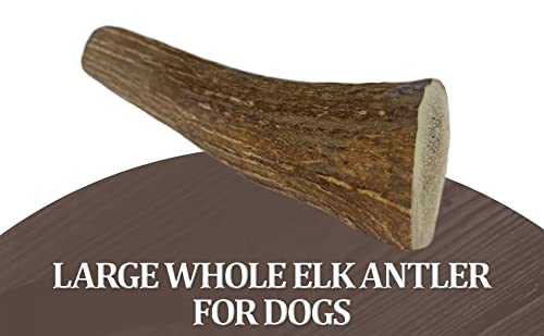 WhiteTail Naturals | Large, Whole Elk Antlers for Dogs | Dog Chews | Naturally Shed Antler Bone Chew Toy