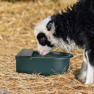 Yosoo Automatic Drinking Waterer Bowl, 4L Automatic Water Trough Livestock Drinking Bowl Drainage Hole Water Trough Farm Grade with with Copper Nozzle for Horse Cattle Goat Sheep Dog