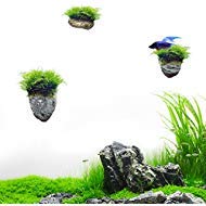 sungrow floating rocks