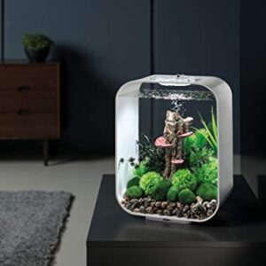 biOrb Bonsai Ball Black