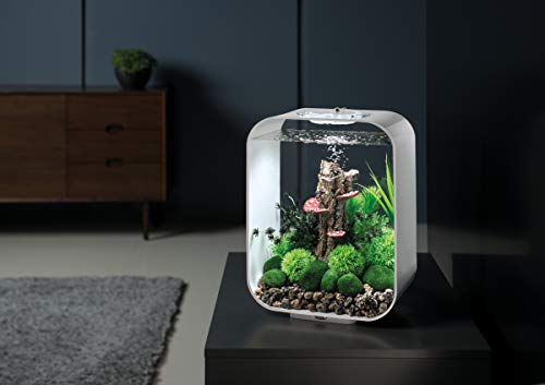 biOrb Bonsai Ball Black