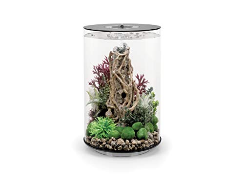 biOrb Bonsai Ball Black