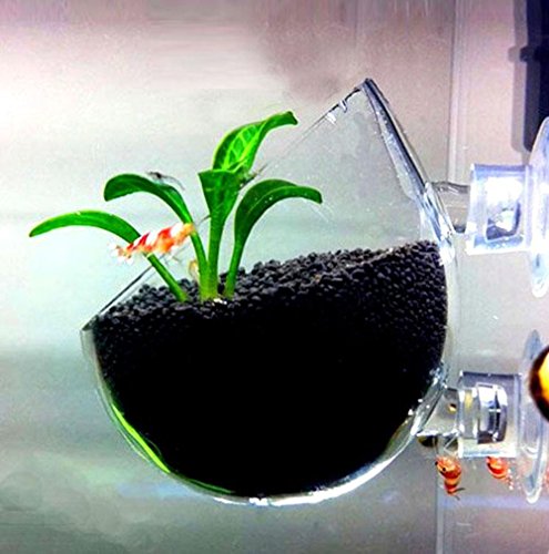 Tfwadmx Plant Pot Aquarium Decor Aquatic Plant Cup with 2 Suction Cup for Fish Tank Aquarium Aquascape(2 Pack)