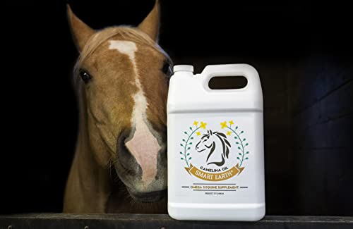 Smart Earth Camelina Horse Oil Supplement for Equine Care & Feed | Essential Oils for Joint Health | 1gal Jug