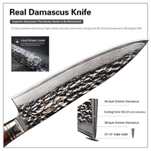 YARENH Chef Knife, 8 inch Professional Kitchen Knife,Sharp Damascus Stainless Steel Blade,73 Layers,High Carbon,Full Tang,Dalbergia Wood Handle,Gift Box Packaging,HTT-Series