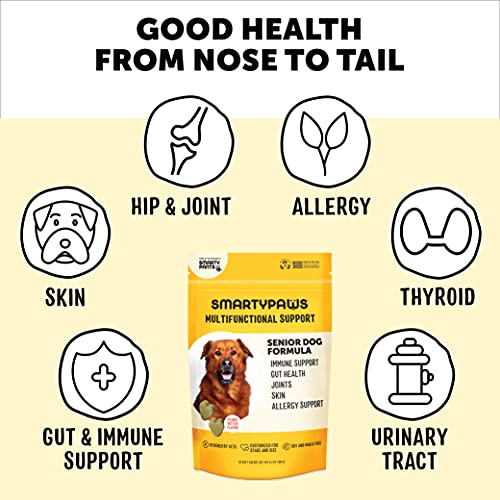 SmartyPants Dog Vitamins and Supplements, Senior Formula: Multivitamin with Glucosamine, Chondroitin, & Probiotics for Joint, Skin, & Gut Support, Peanut Butter Flavor, 60 Soft Chews by SmartyPaws