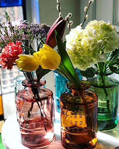 Time Concept Valencia 100% Recycled Glass Jar - Siete, Green - Handcrafted Flower Vase, Home Centerpiece Décor