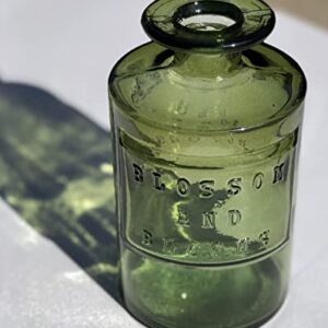 Time Concept Valencia 100% Recycled Glass Jar - Siete, Green - Handcrafted Flower Vase, Home Centerpiece Décor