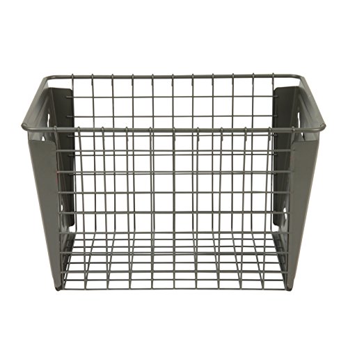 Spectrum Diversified Macklin Basket Steel Storage Bin Bone Design, Pet Accessory Organizer with Rust-Resistant Finish, Dog Toy Organization & Storage, Medium, Industrial Gray