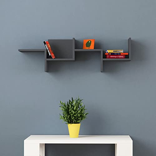 Ada Home Décor Watson Wall Shelf, 45.5'' x 14'' x 8.5'', Anthracite