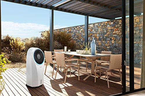 DeLonghi America America Portable Evaporative Cooler, White