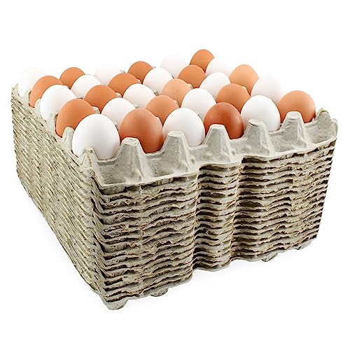 Cornucopia 30-Count Egg Flats (18 Trays); Biodegradable Recycled Material Chicken Egg Cartons, Each Holds 30 Eggs