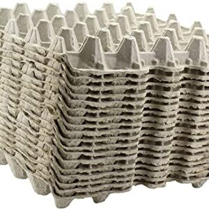 Cornucopia 30-Count Egg Flats (18 Trays); Biodegradable Recycled Material Chicken Egg Cartons, Each Holds 30 Eggs