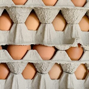 Cornucopia 30-Count Egg Flats (18 Trays); Biodegradable Recycled Material Chicken Egg Cartons, Each Holds 30 Eggs