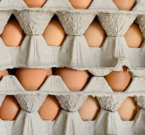 Cornucopia 30-Count Egg Flats (18 Trays); Biodegradable Recycled Material Chicken Egg Cartons, Each Holds 30 Eggs