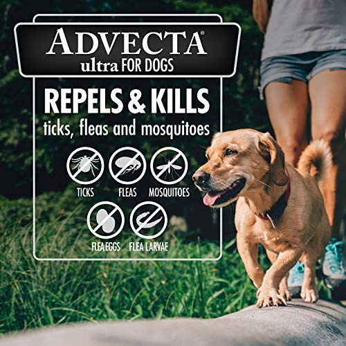 Advecta Ultra Flea And Tick Prevention For Dogs - Dog and Puppy Treatment and Control - Small, Medium, Large, XL, Fast Acting Waterproof Topical Drops, 4 Doses