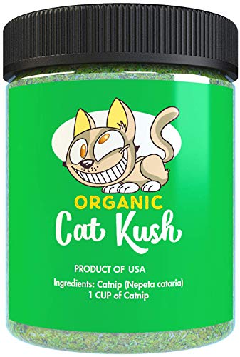 Organic Catnip by Cat Kush, Safe Premium Blend Perfect for Cats, Instilled with Maximized Potency your Kitty is Guaranteed to Go Crazy for! (1 Cup)