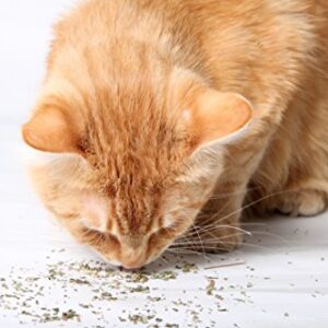 Organic Catnip by Cat Kush, Safe Premium Blend Perfect for Cats, Instilled with Maximized Potency your Kitty is Guaranteed to Go Crazy for! (1 Cup)