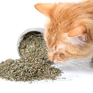 Organic Catnip by Cat Kush, Safe Premium Blend Perfect for Cats, Instilled with Maximized Potency your Kitty is Guaranteed to Go Crazy for! (1 Cup)