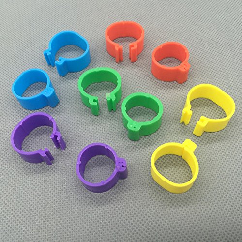 Afco 100Pcs Bird Leg Bands,Chicken Pigeon Hen Leg Band Poultry Dove Duck Parrot Clip Rings Size 0.8cm0.6cm (Multicolor)