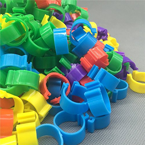 Afco 100Pcs Bird Leg Bands,Chicken Pigeon Hen Leg Band Poultry Dove Duck Parrot Clip Rings Size 0.8cm0.6cm (Multicolor)