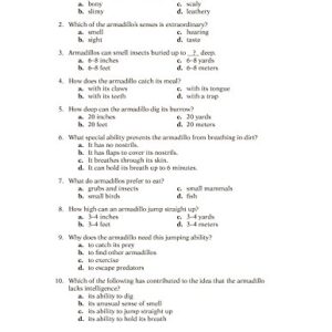 Read and Comprehend 6 Skill Sheets - Abeka 6th Grade 6 Reading Comprehension Student Activity Book