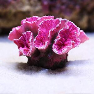 danmu 1pc of polyresin coral reef ornaments, aquarium coral decor 2.75" x 2.36" x 1.96" for fish tank aquarium decoration