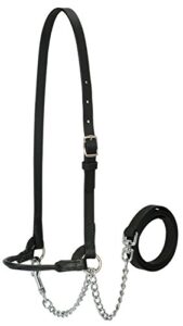 weaver leather livestock dairy halter, x-small, black