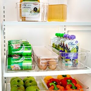 Home Basics Clear Acrylic Food Storage Container Bin for Fridge Freezer or Pantry, Stackable with Handles. Organize Fruit, Vegetables, Yogurt, Snacks, Pasta, Extra Large, 8” x 14"