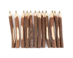 skkstationery 12 pcs real wooden ballpoint pens, branch ballpoint pens, 5" long, black ink.