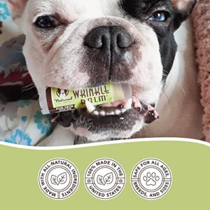 Natural Dog Company Wrinkle Balm, Travel Stick, 0.15 oz, Dog Lotion for Dry Itchy Skin, Cleans Wrinkles, Yeast Infection Treatment for Dogs, Plant Based, Frenchie Dog Accessories, Made in USA