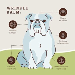 Natural Dog Company Wrinkle Balm, Travel Stick, 0.15 oz, Dog Lotion for Dry Itchy Skin, Cleans Wrinkles, Yeast Infection Treatment for Dogs, Plant Based, Frenchie Dog Accessories, Made in USA